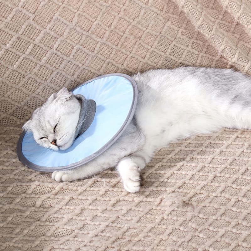 Storlek M Justerbar Pet Elizabeth-krage Sininen - Gigantti verkkokauppa