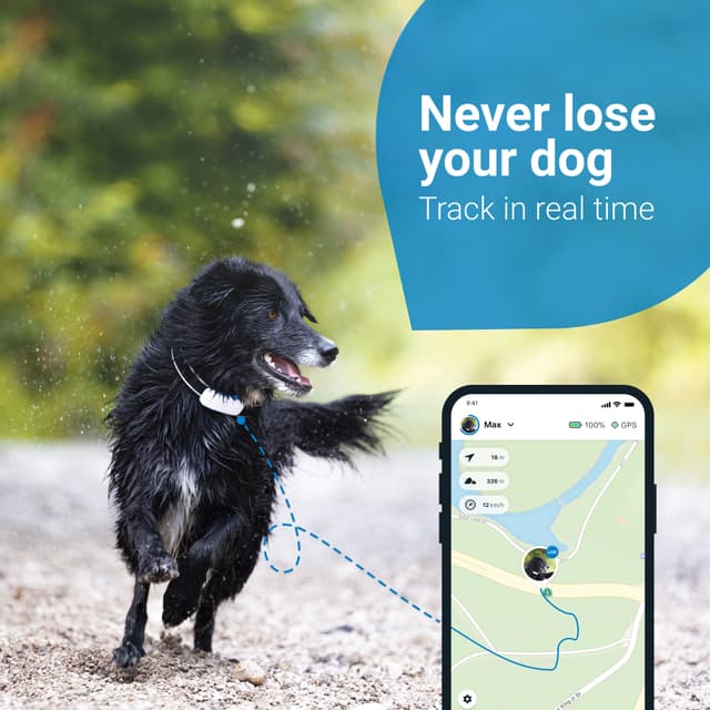 Tractive DOG LTE GPS tracker hund - Elgiganten - Elgiganten