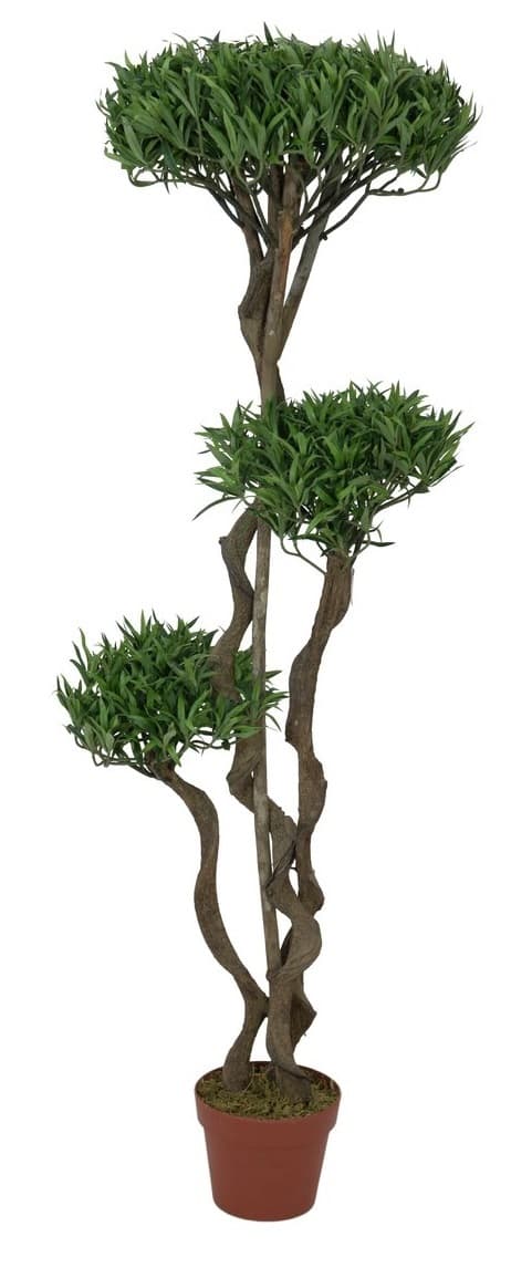 Europalms bonsai tree, multi trunk, 130cm - Elkjøp