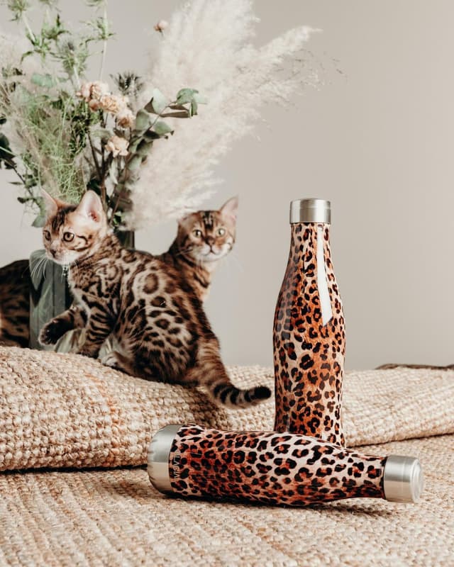 Glacial vattenflaska GL2018400102 (vild leopard) - Elgiganten
