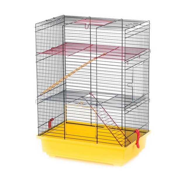 Cage Teddy 2 Eko G016E 36x24x50cm - Elkjøp