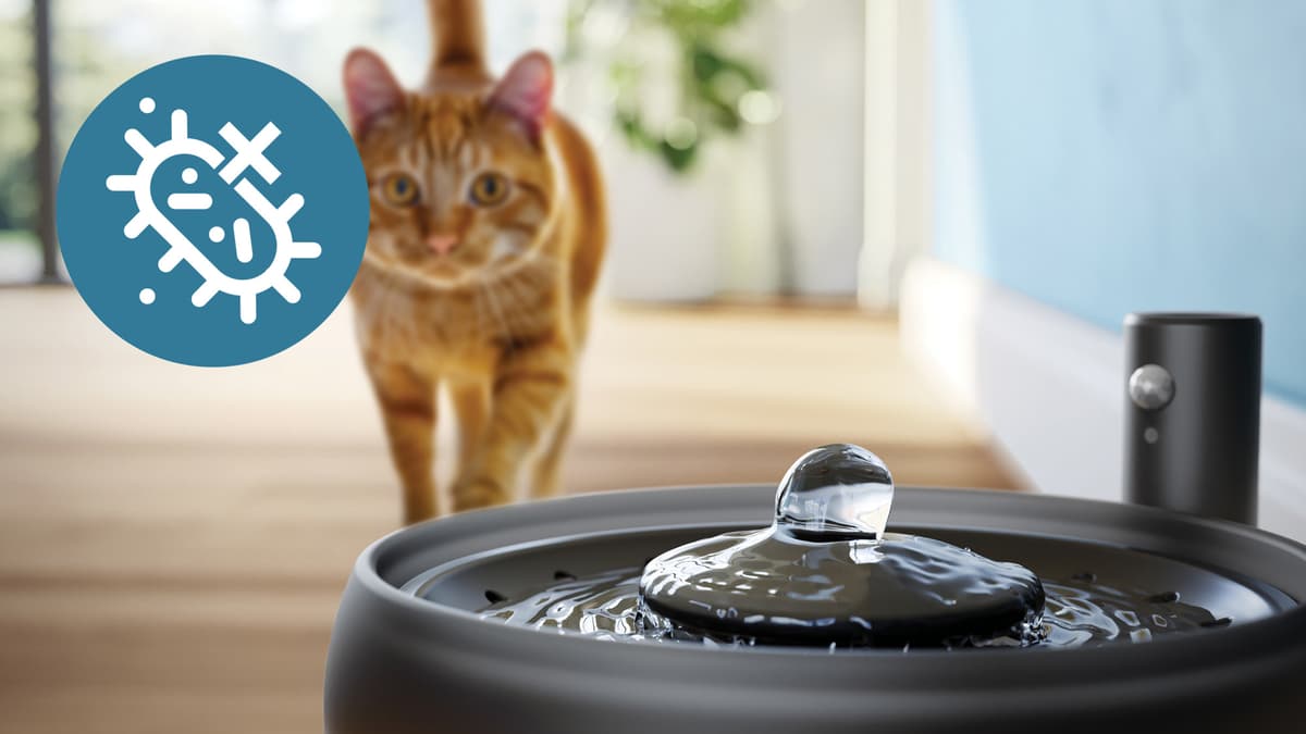 Philips Pet Series vannfontene PAW3210/02 (sort) - Elkjøp | Elkjøp