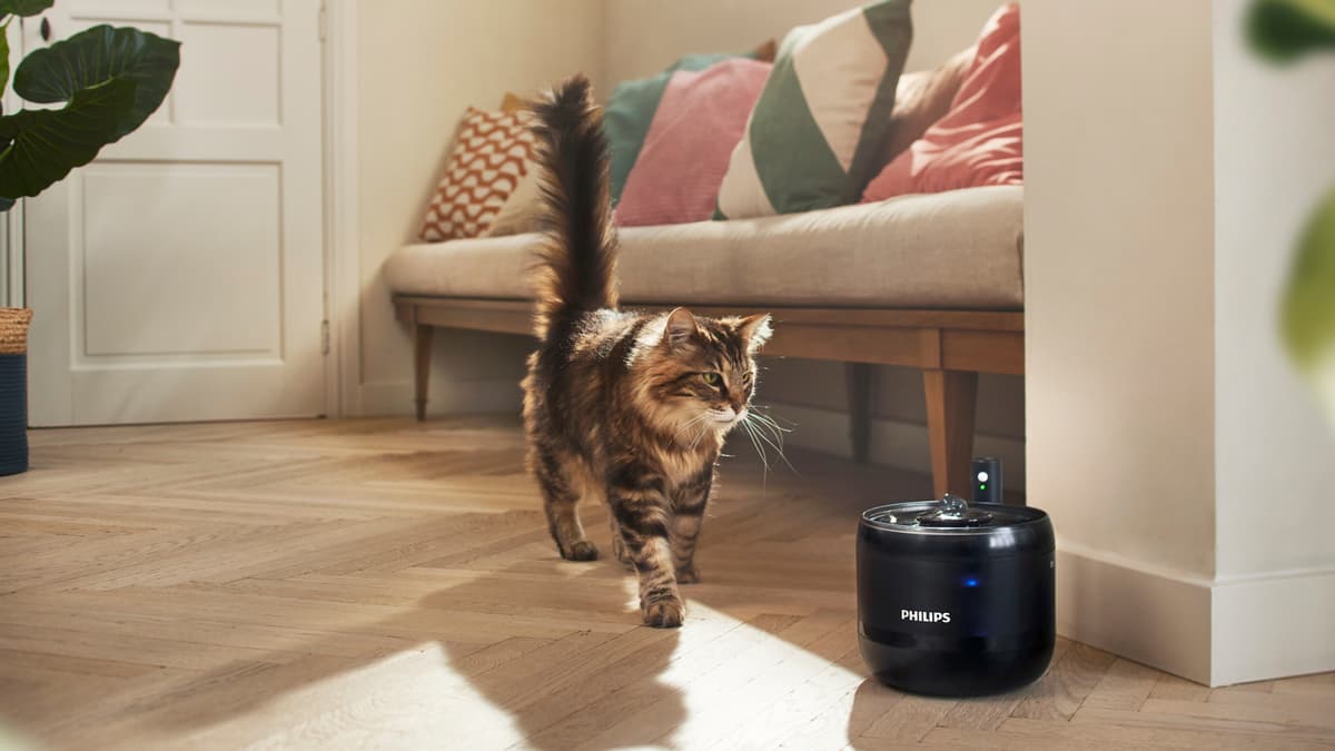 Philips Pet Series vannfontene PAW3210/02 (sort) - Elkjøp | Elkjøp