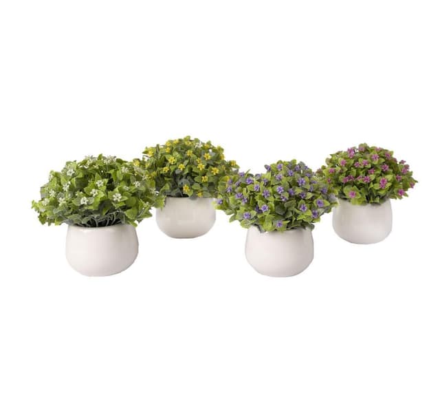 Grønn plante I HAGE, H15cm, mix, beige potte - Elkjøp