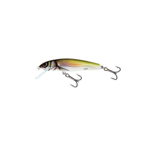 Lure Minnow 5F 5cm/3g/0,5-1,0m HBL - Elgiganten