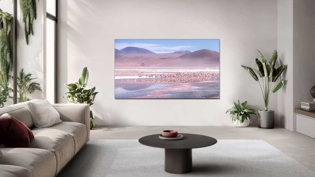 TCL 55" QLED810K 4K QLED TV (2025) - Elkjøp
