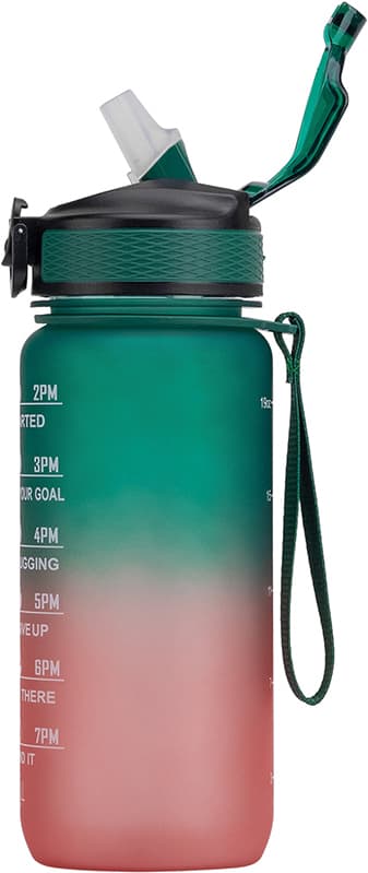 Motivation Bottle vannflaske PPNMotBtl600-BrPi/Dgre(multi-coloured ...