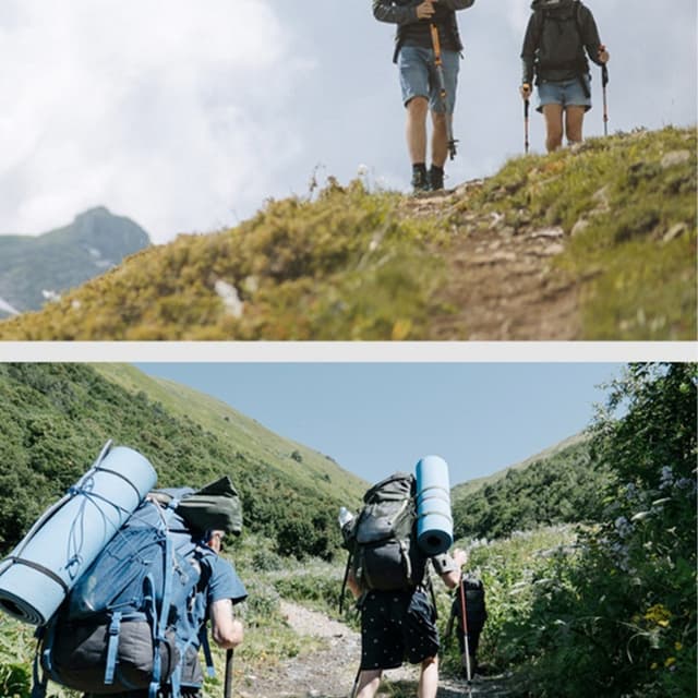 5-Sektions Pro Vandrestave Sæt: Aluminiumlegering, Sammenklappelig ...