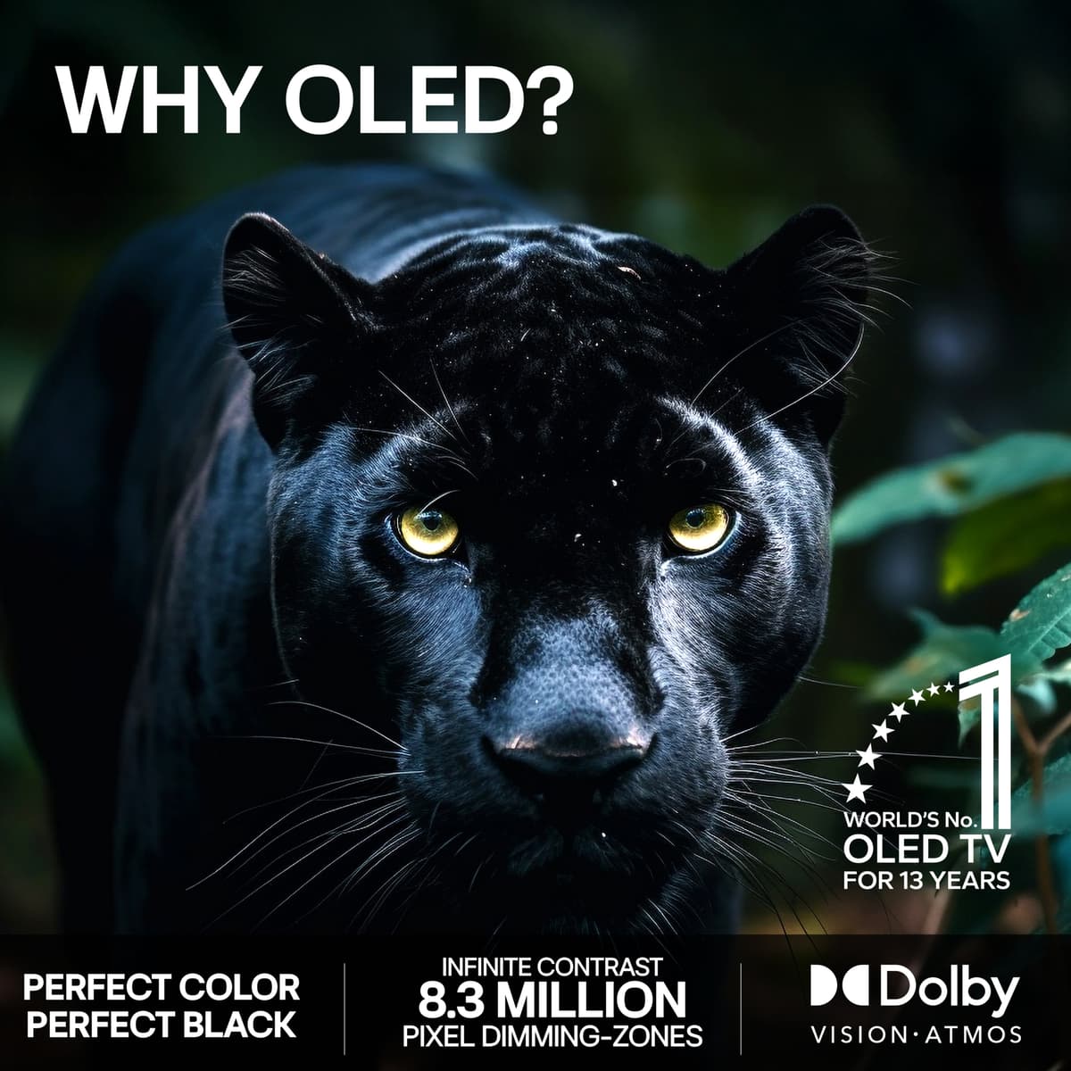 LG 55" G6 4K OLED evo TV (2026) - Elkjøp