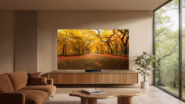 TCL 65" C8L 4K QLED TV (2026) | Elgiganten